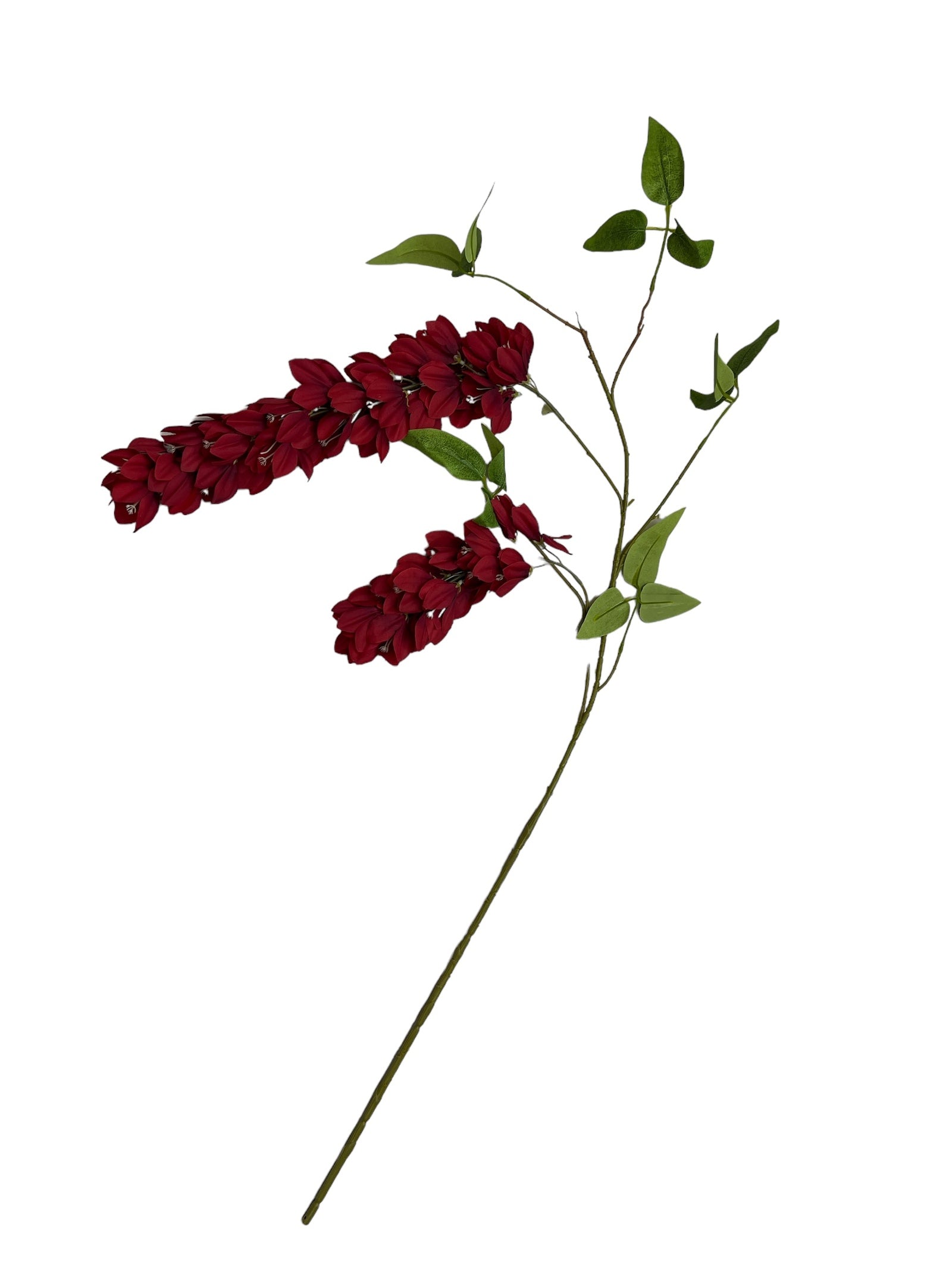 flori glicina – Figodecor